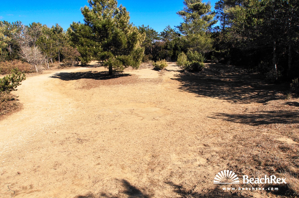 Beach Sahara - Lopar - Island Rab - Kvarner - Croatia | Beachrex.com