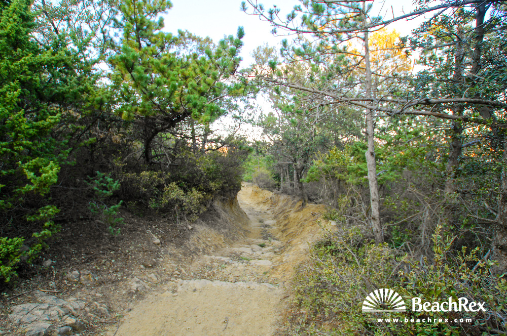 Beach Stolac - Lopar - Island Rab - Kvarner - Croatia | Beachrex.com
