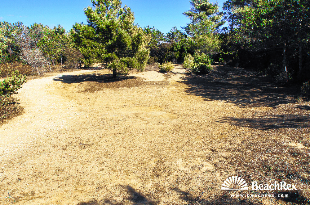 Beach Ciganka - Lopar - Island Rab - Kvarner - Croatia | Beachrex.com