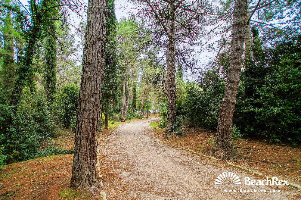 Beach Kuvi - Rovinj - Istra - Croatia | Beachrex.com