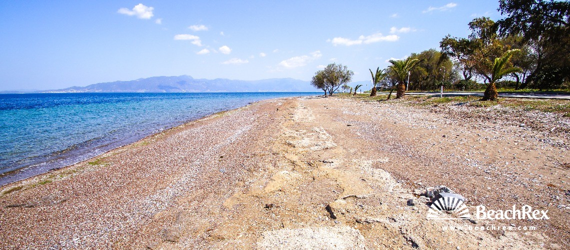 Paralia Souvala Arkitsa - Arkitsa - Sterea Ellada - Greece | Beachrex.com
