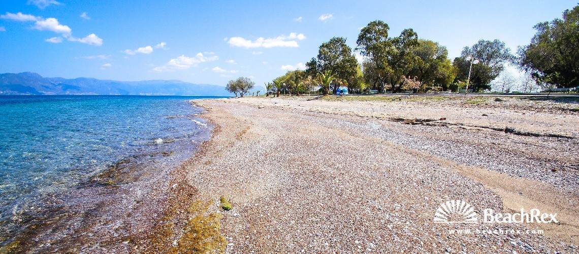 Paralia Souvala Arkitsa - Arkitsa - Sterea Ellada - Greece | Beachrex.com