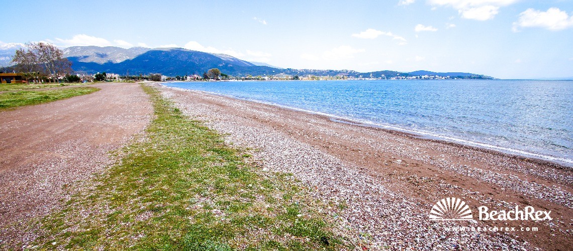 Paralia Drepano - Drepano - Sterea Ellada - Greece | Beachrex.com