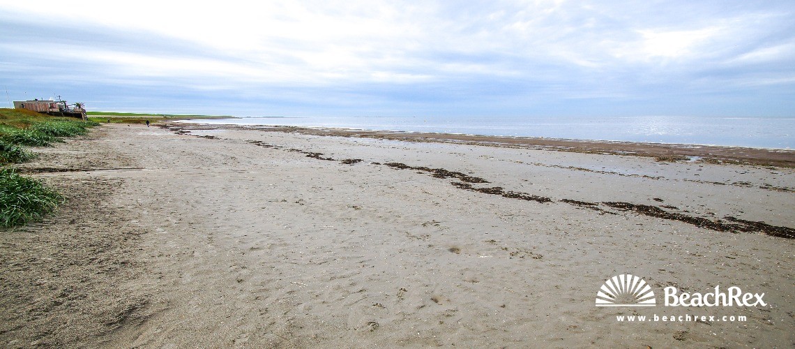 Strand Harlingen - Harlingen - Friesland - Netherlands | Beachrex.com